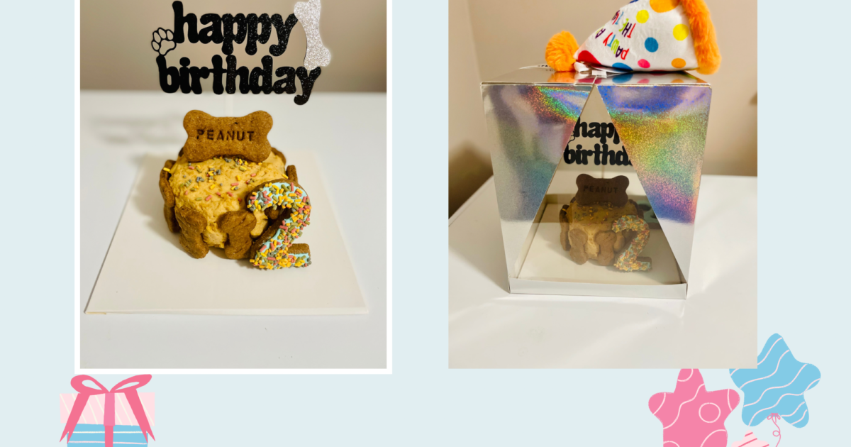 Birthday cakes, Barkday cakes, Gotcha day cakes | Shop Local RI
